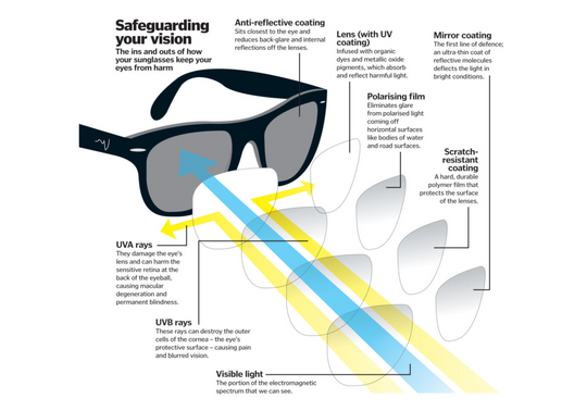 How Do Polarised Lenses Work? – HOKKY AUSTRALIA
